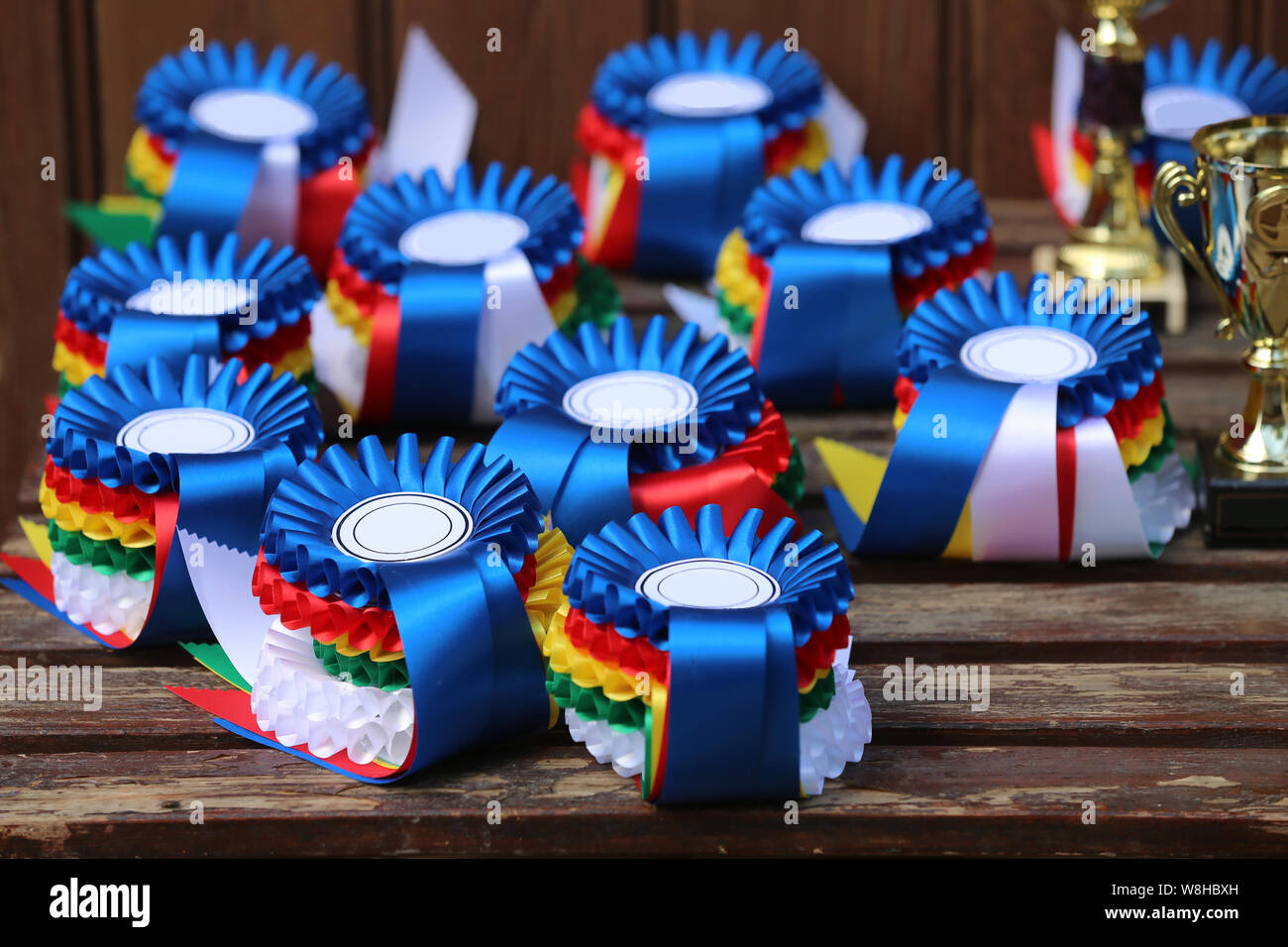 Group of horse riding equestrian sport trophies badges rosettes at ...