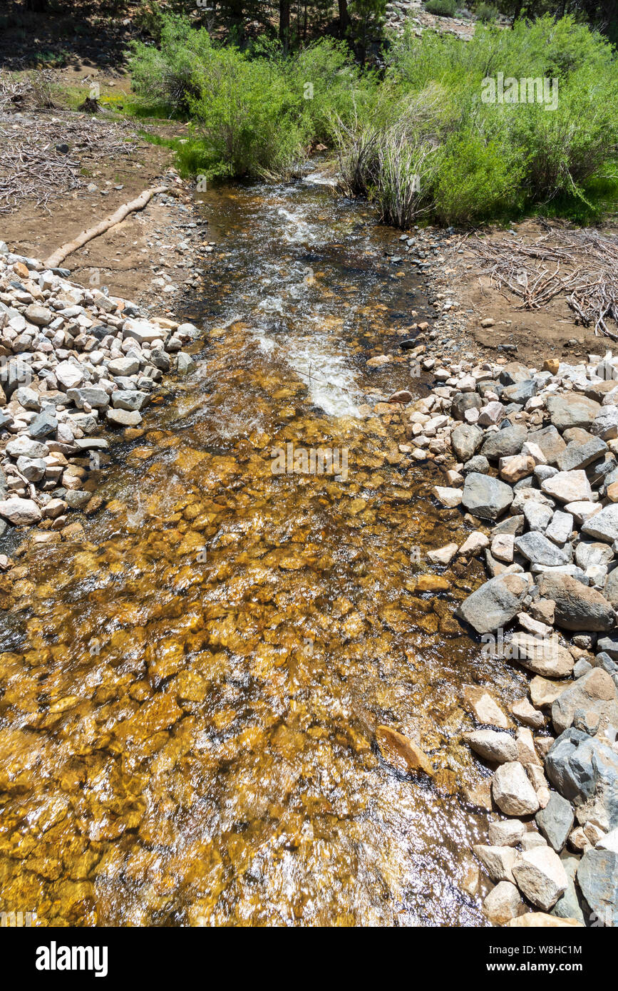 Stream fresh water hi-res stock photography and images - Alamy
