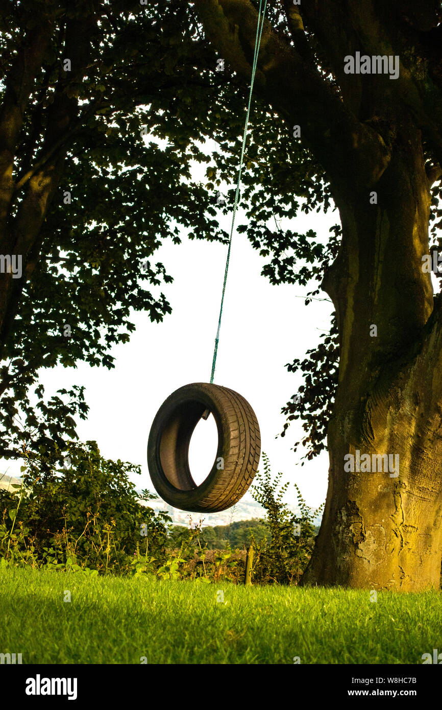 Rubber tyre swing hanging oon a rope from a tree Stock Photo - Alamy
