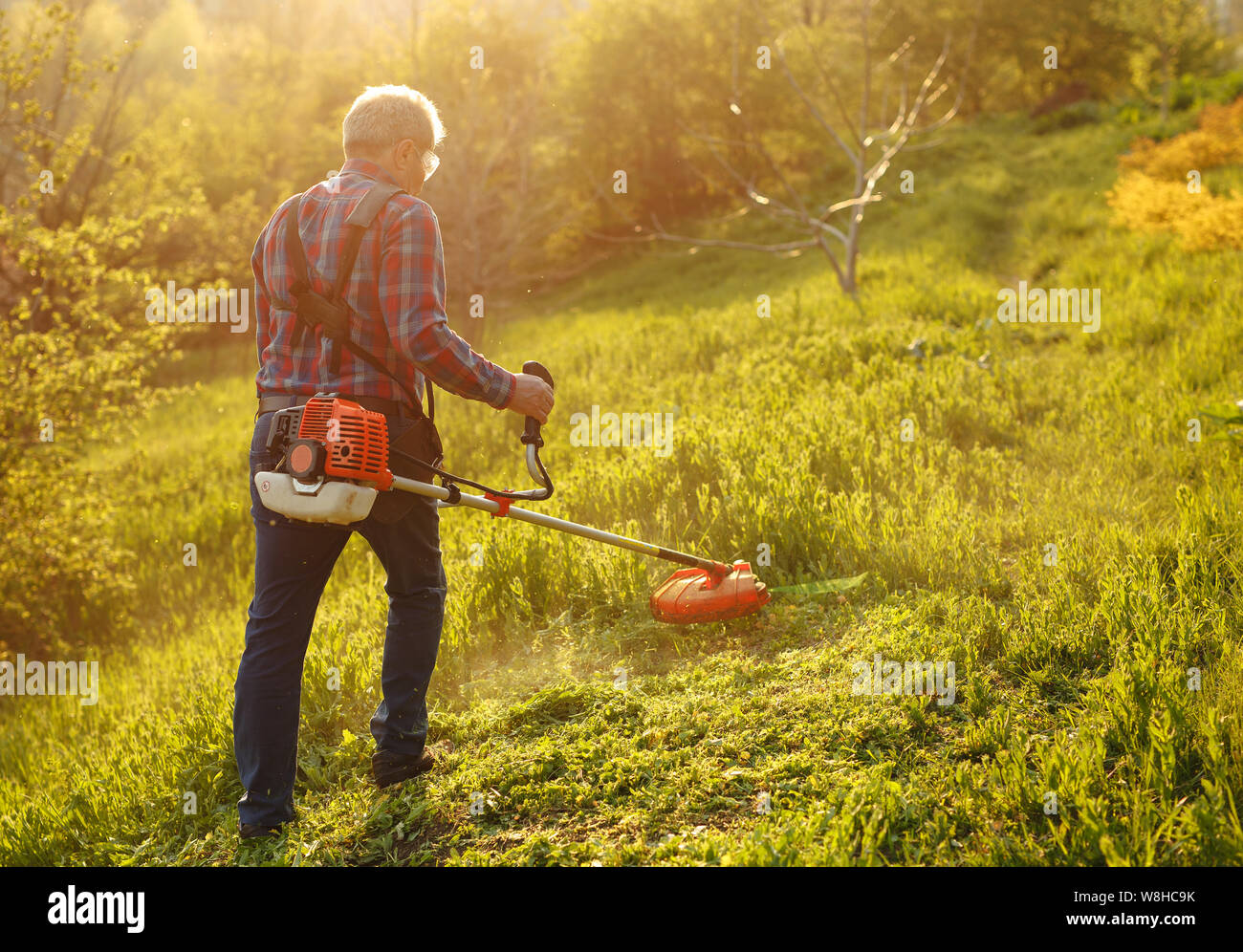 mowing trimmer - worker cutting grass in green yard at sunset Stock ...