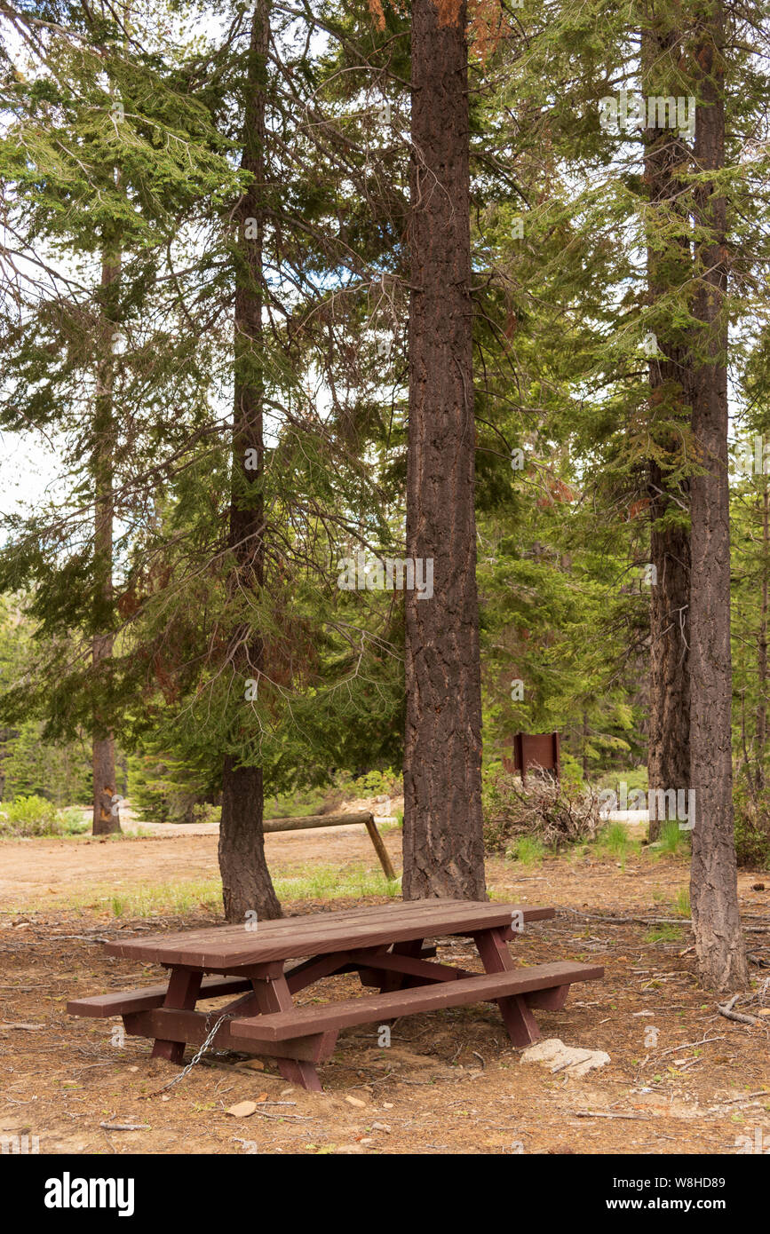 Table under trees hi-res stock photography and images - Alamy