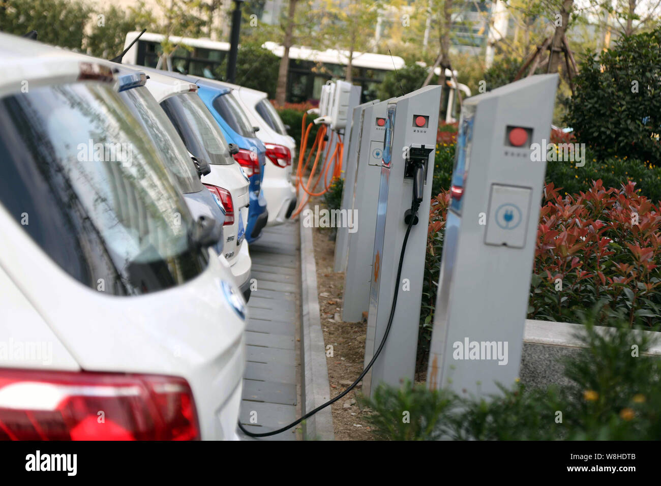 --FILE--Electric cars are being recharged at a charging station in ...