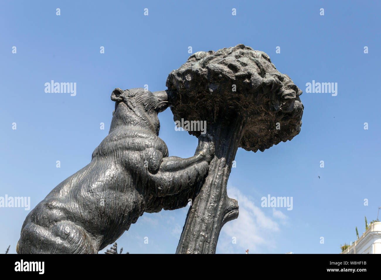 Bear and the Madrono Tree heraldic symbol of Madrid, Spain Stock Photo ...
