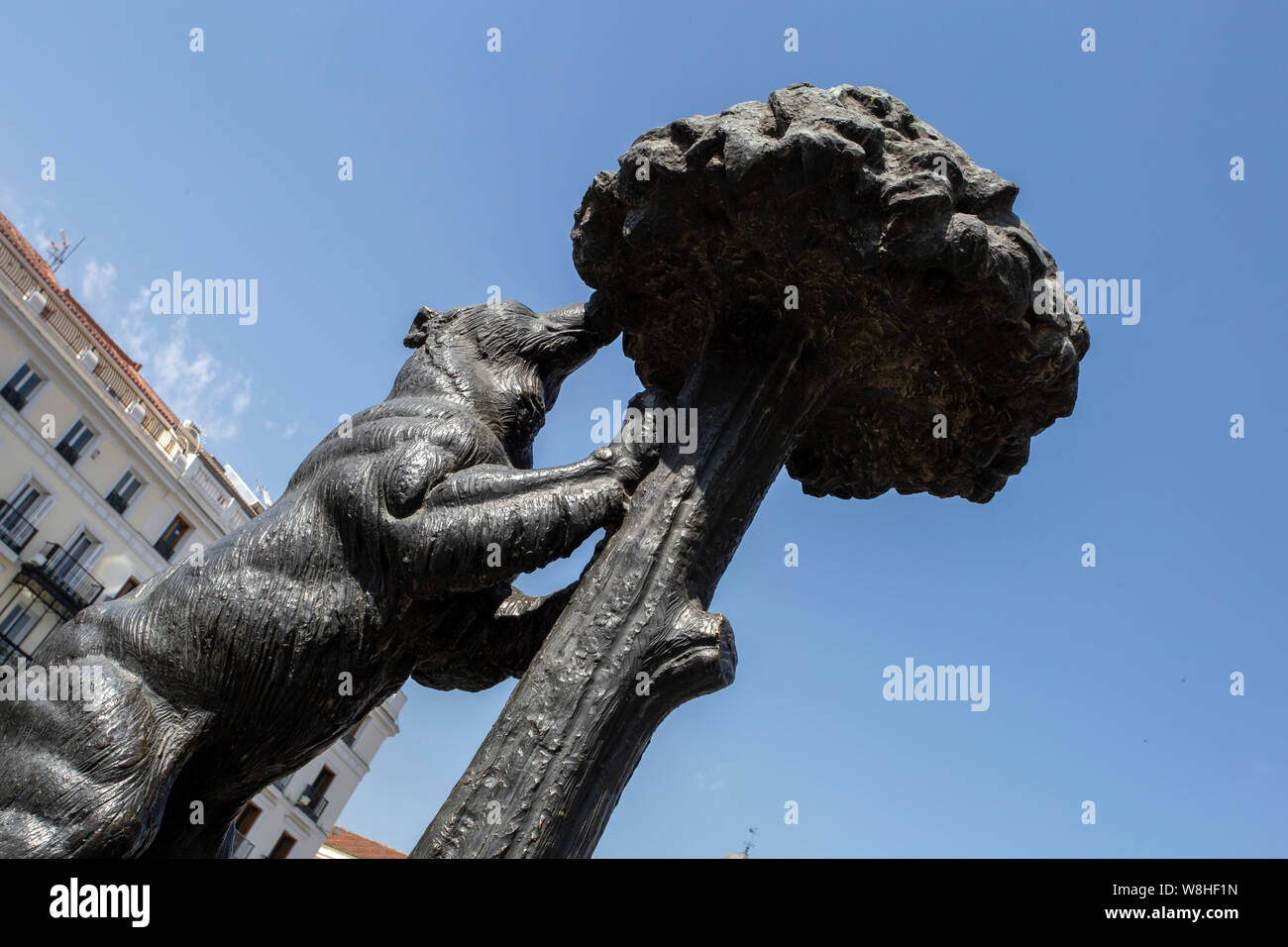 Bear and the Madrono Tree heraldic symbol of Madrid, Spain Stock Photo ...