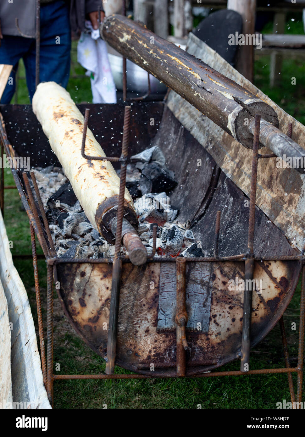 Preparation of CHOCHOCA - tpical food of Chiloe island, Chile ...