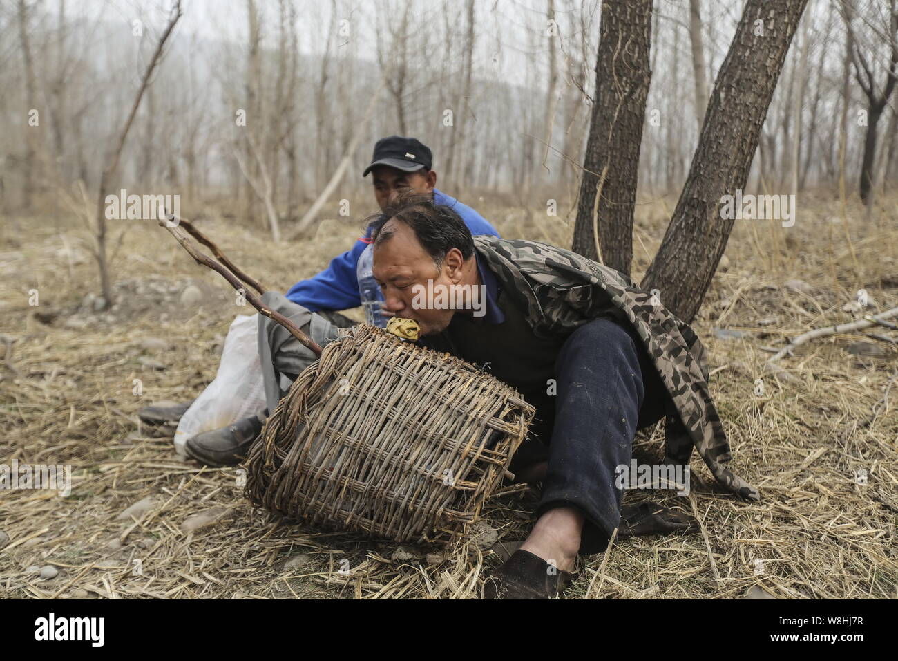Jia Wenqi High Resolution Stock Photography and Images - Alamy