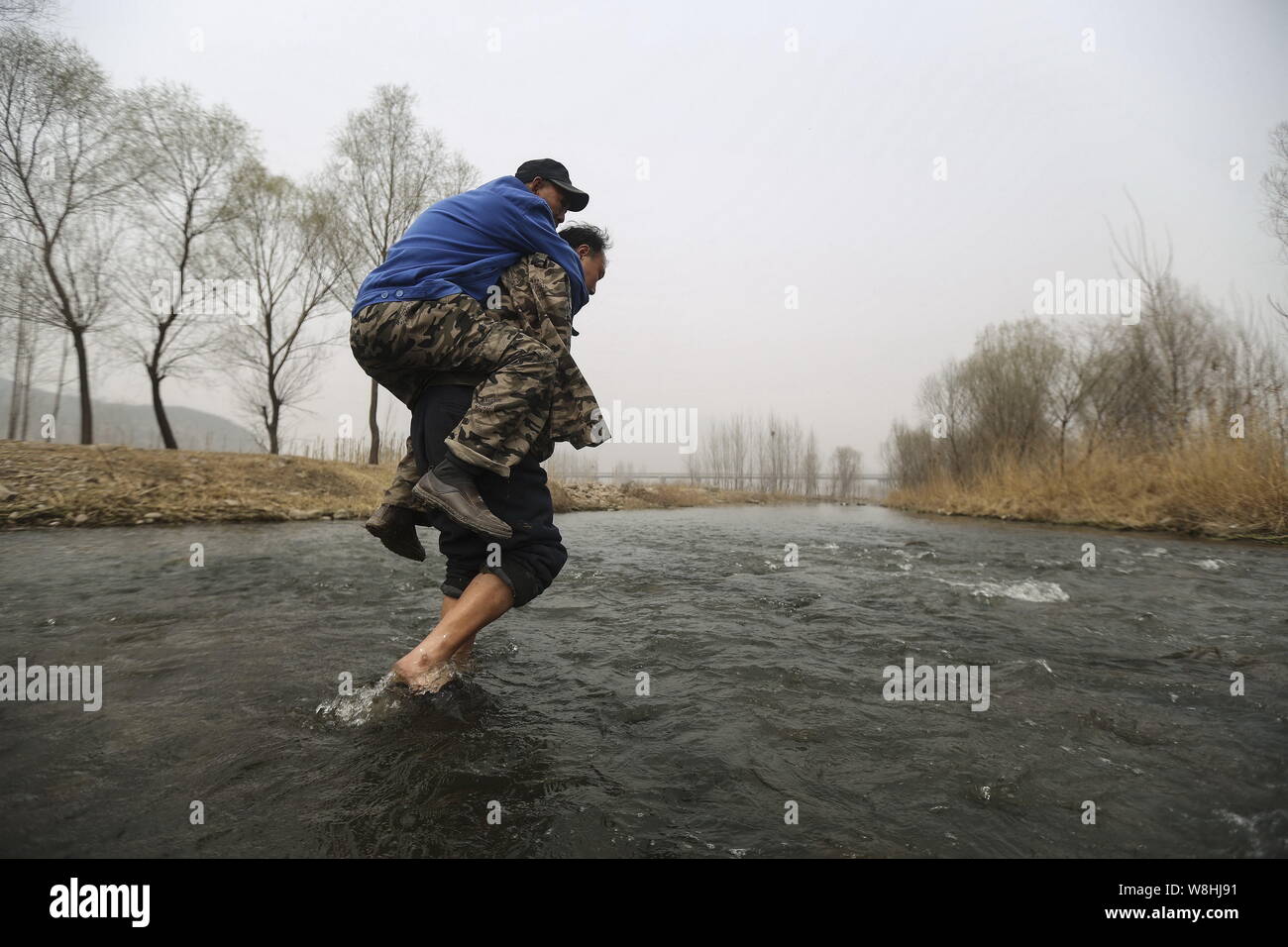 Plant blindness hi-res stock photography and images - Alamy