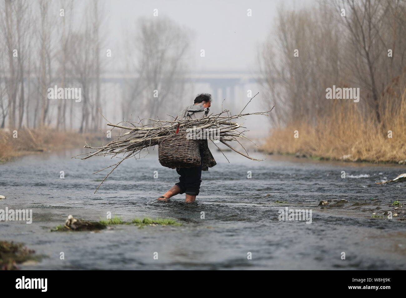 Jia Wenqi High Resolution Stock Photography and Images - Alamy