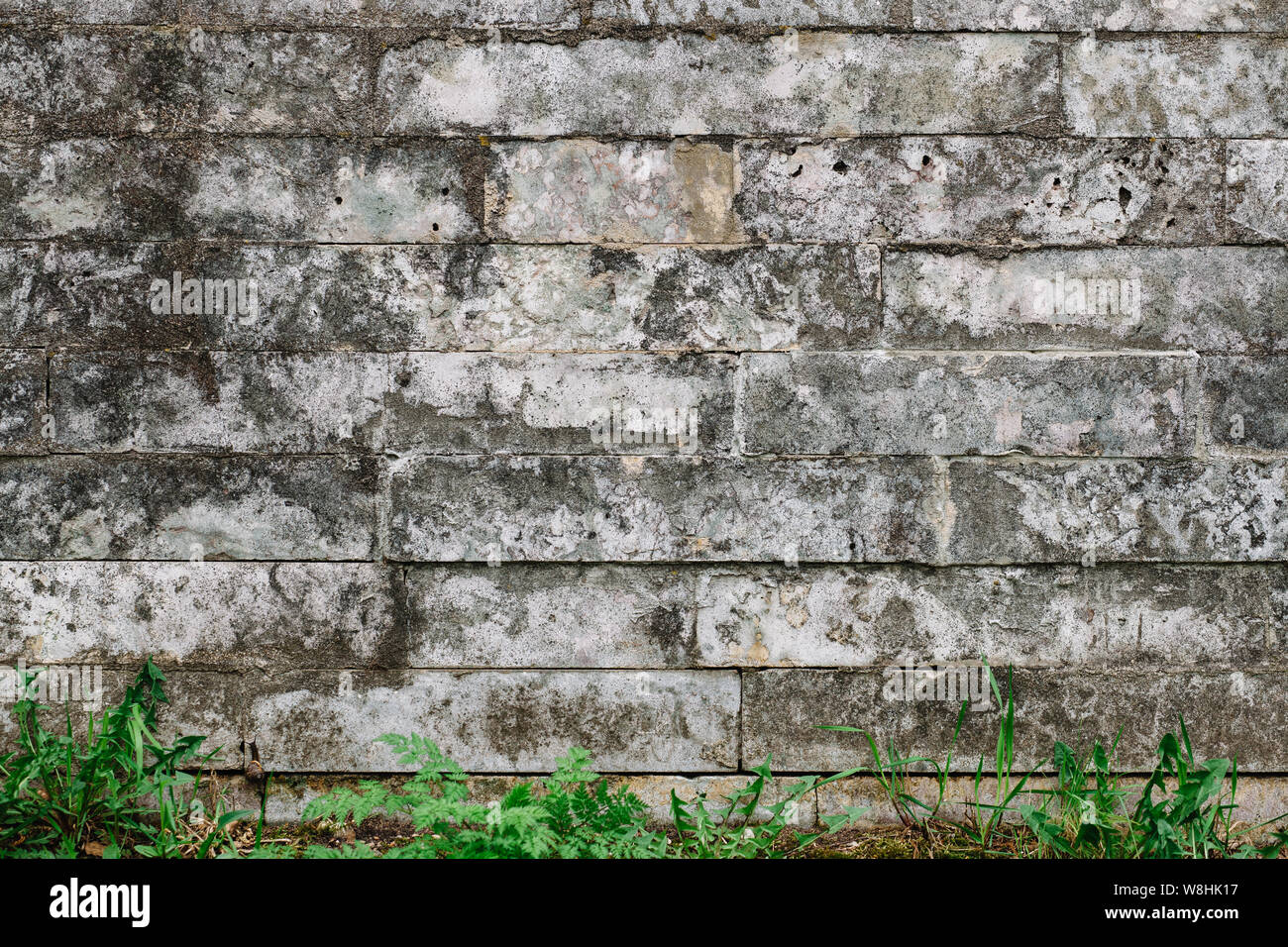 Antique masonry of gray stone covered with dark moss. The foundation of ...