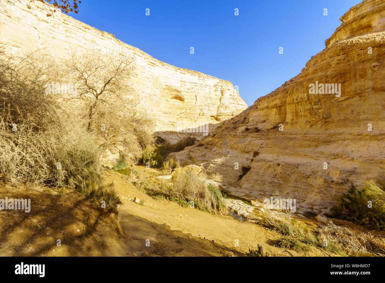 View of the Canyon of Ein Avdat National Park, the Negev Desert ...