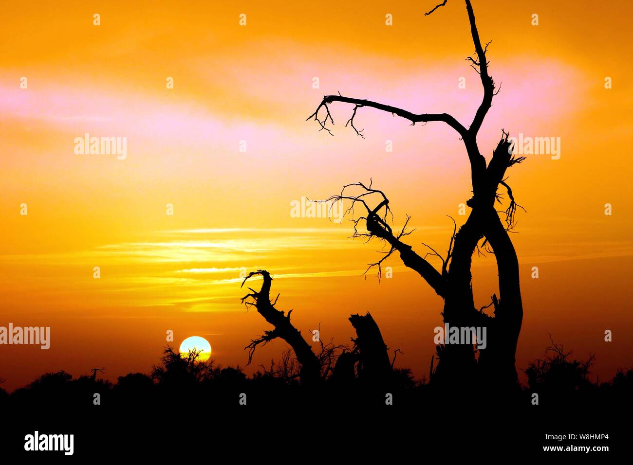 --FIEL--Landscape of sunset in the Taklamakan Desert, also known as ...