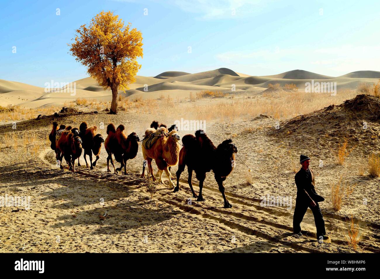 Taklamakan Desert People