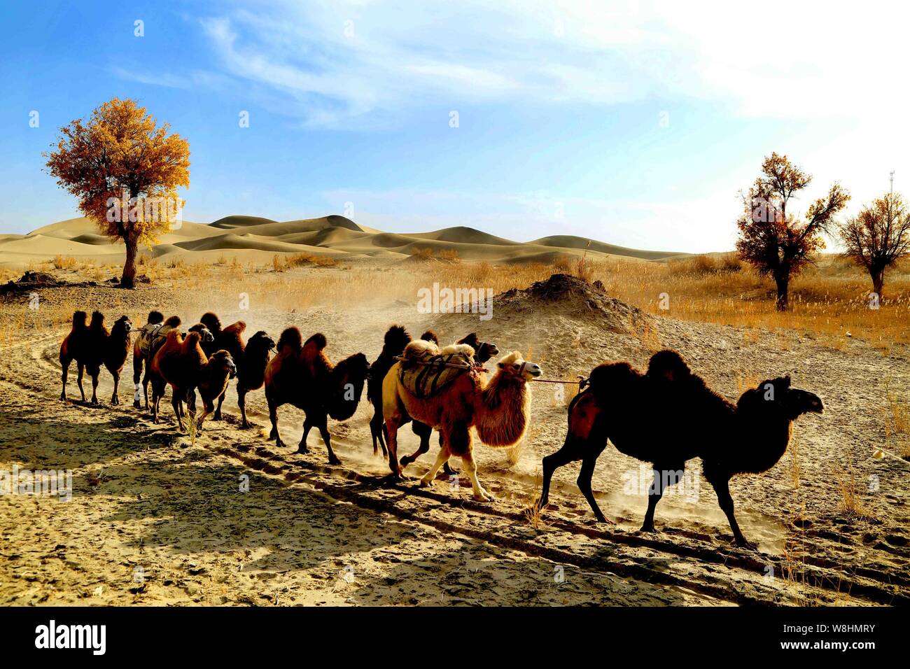 Taklamakan Desert People