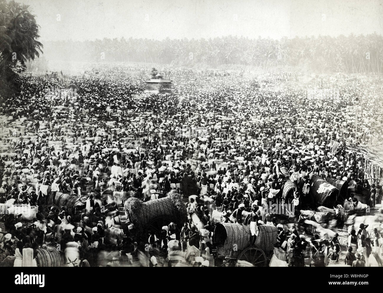 19th century vintage photograph - Huge crowd, ceremony, India or Ceylon ...