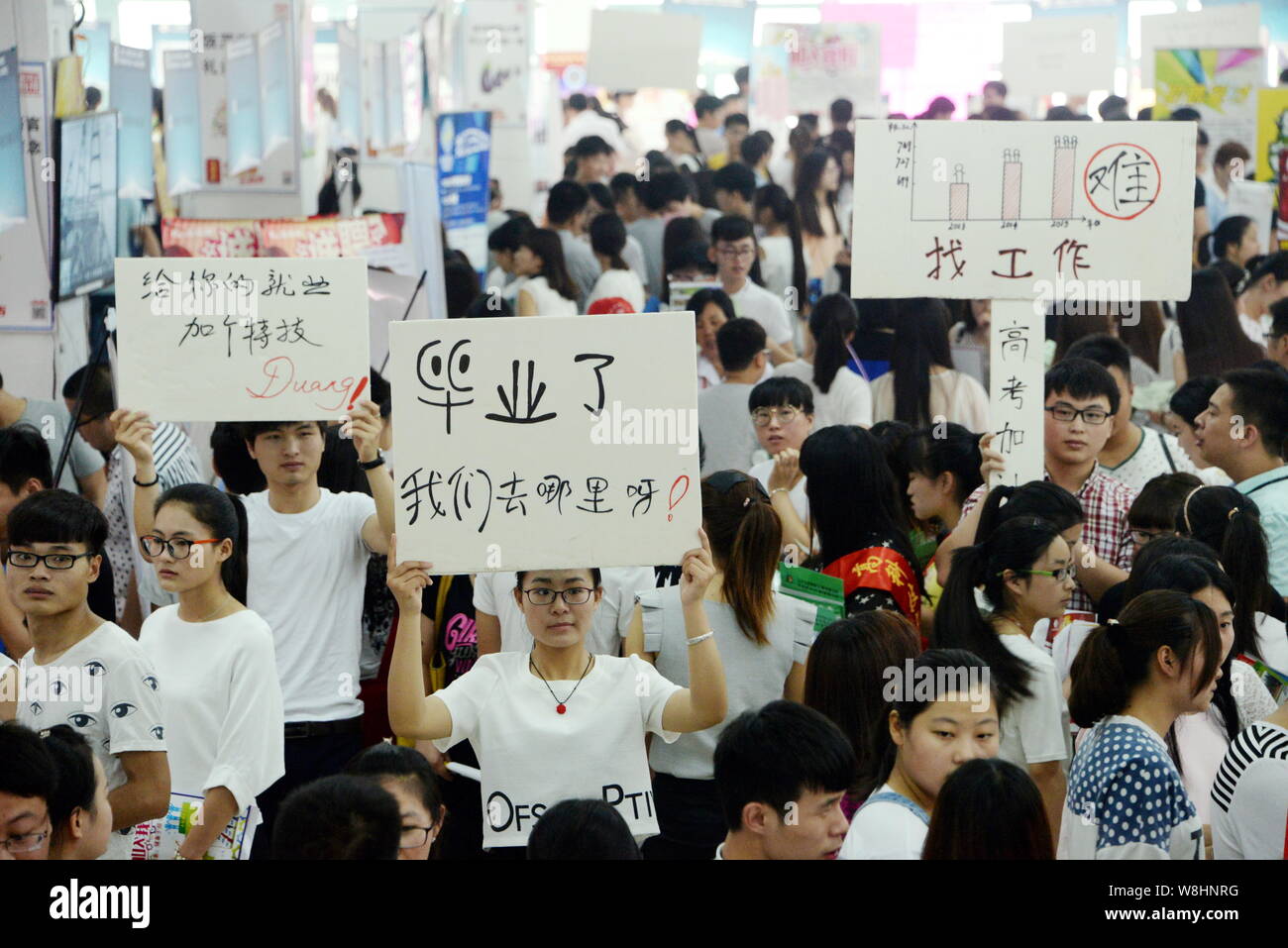--FILE--Chinese graduates look for employments at a job fair in Bozhou ...