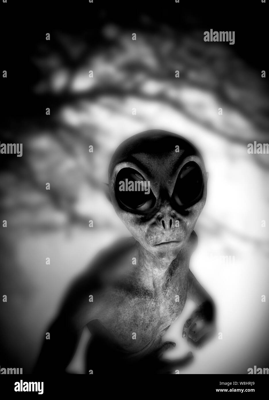 Black white illustration camera hi-res stock photography and images - Alamy