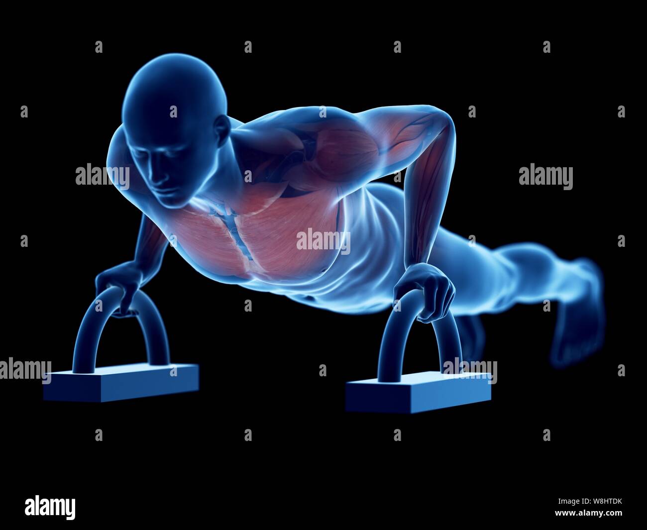 3d rendering illustration exercise 3d hi-res stock photography and ...