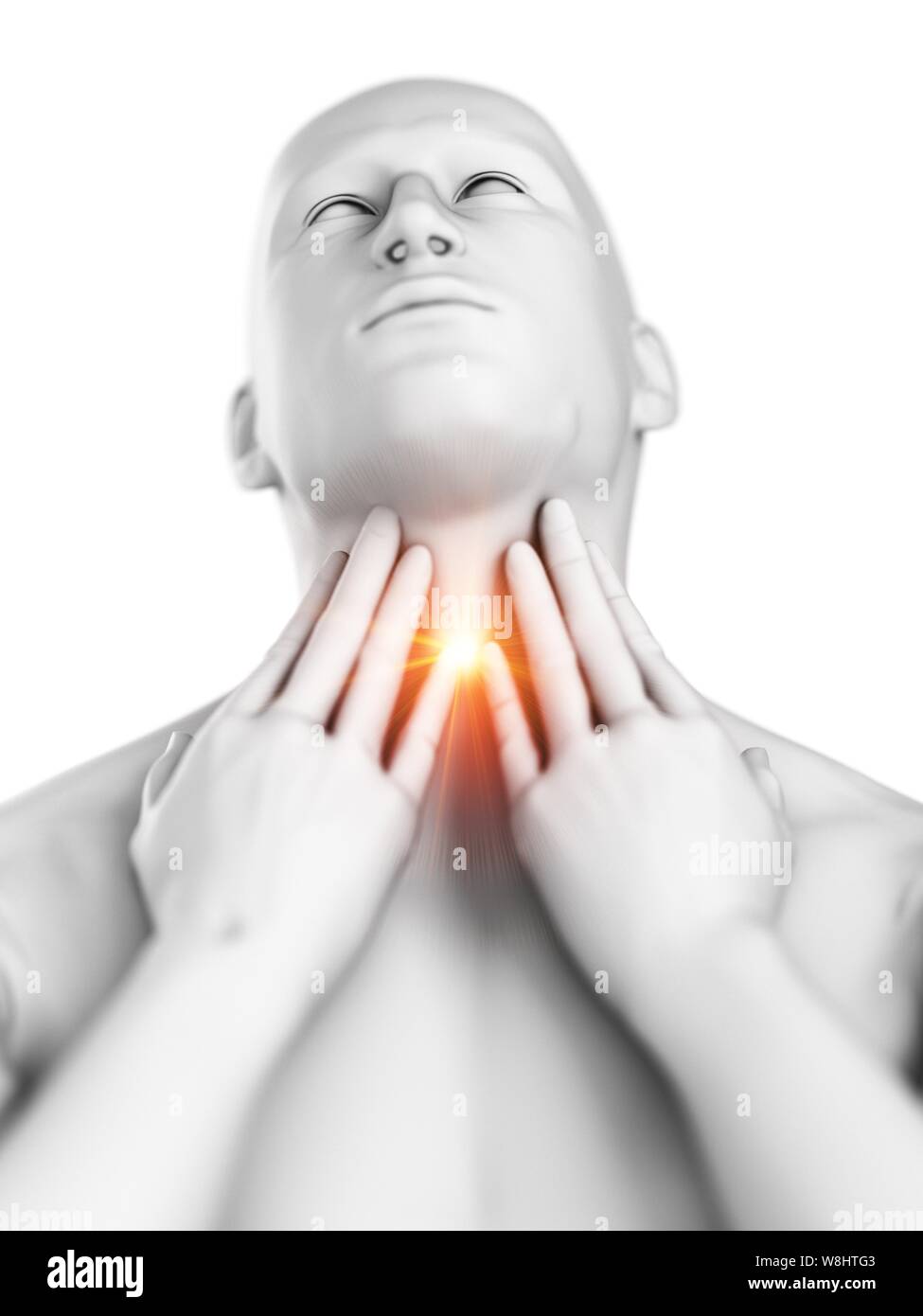 Tonsils anatomy hi-res stock photography and images - Alamy