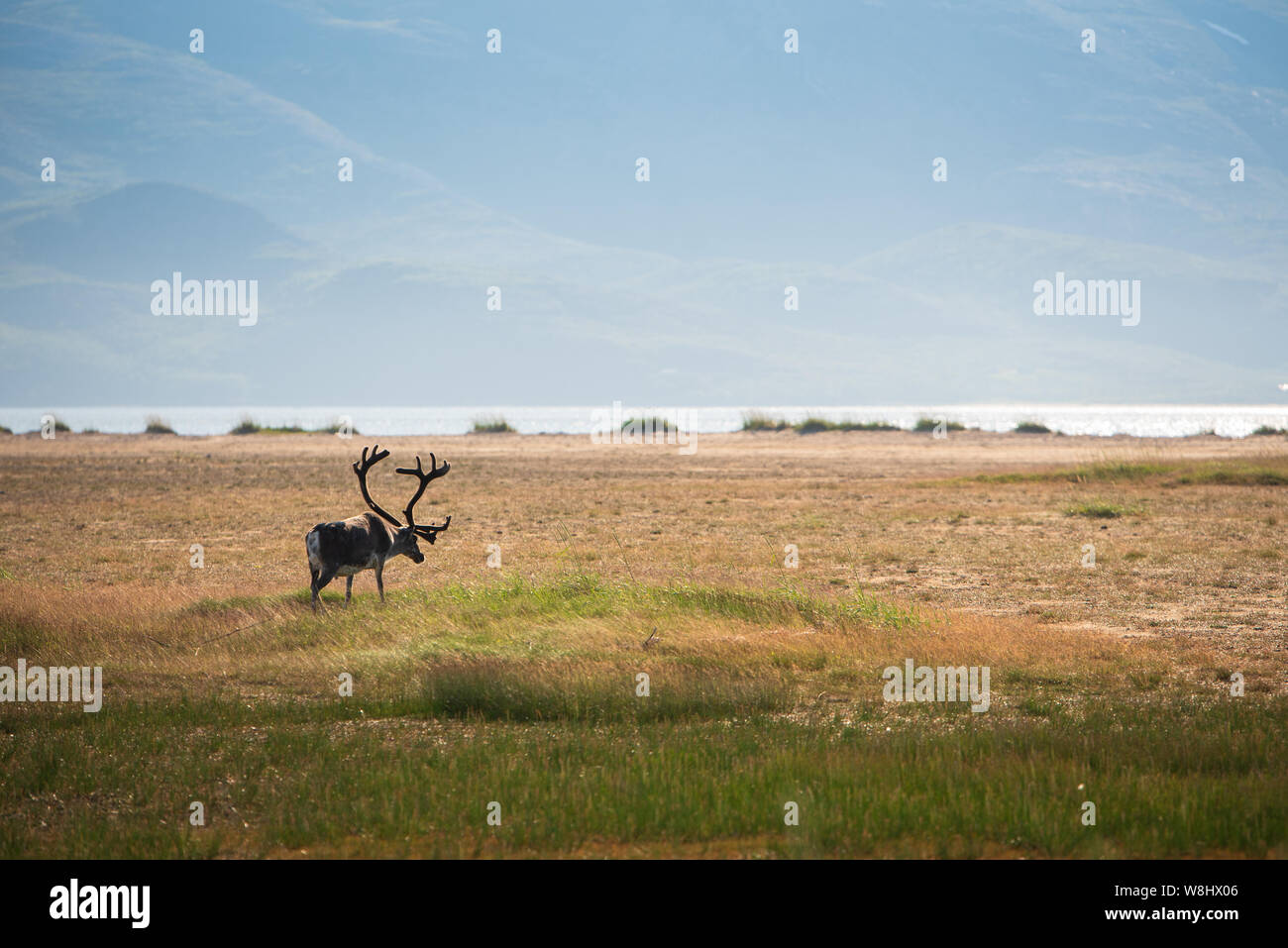 Norway varanger fjord hi-res stock photography and images - Alamy