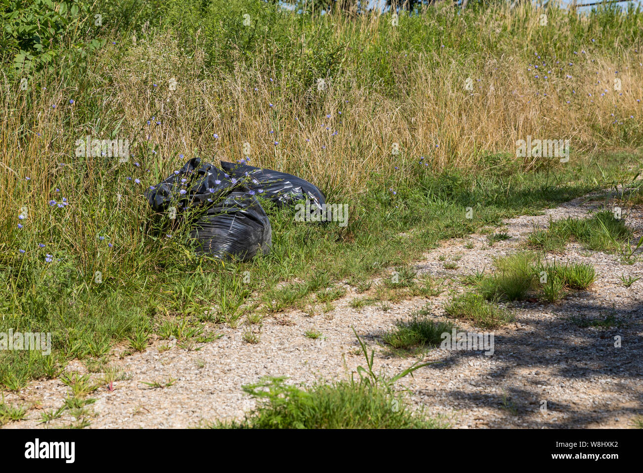 Black garbage, trash bags dumped in ditch along a rural road Stock ...