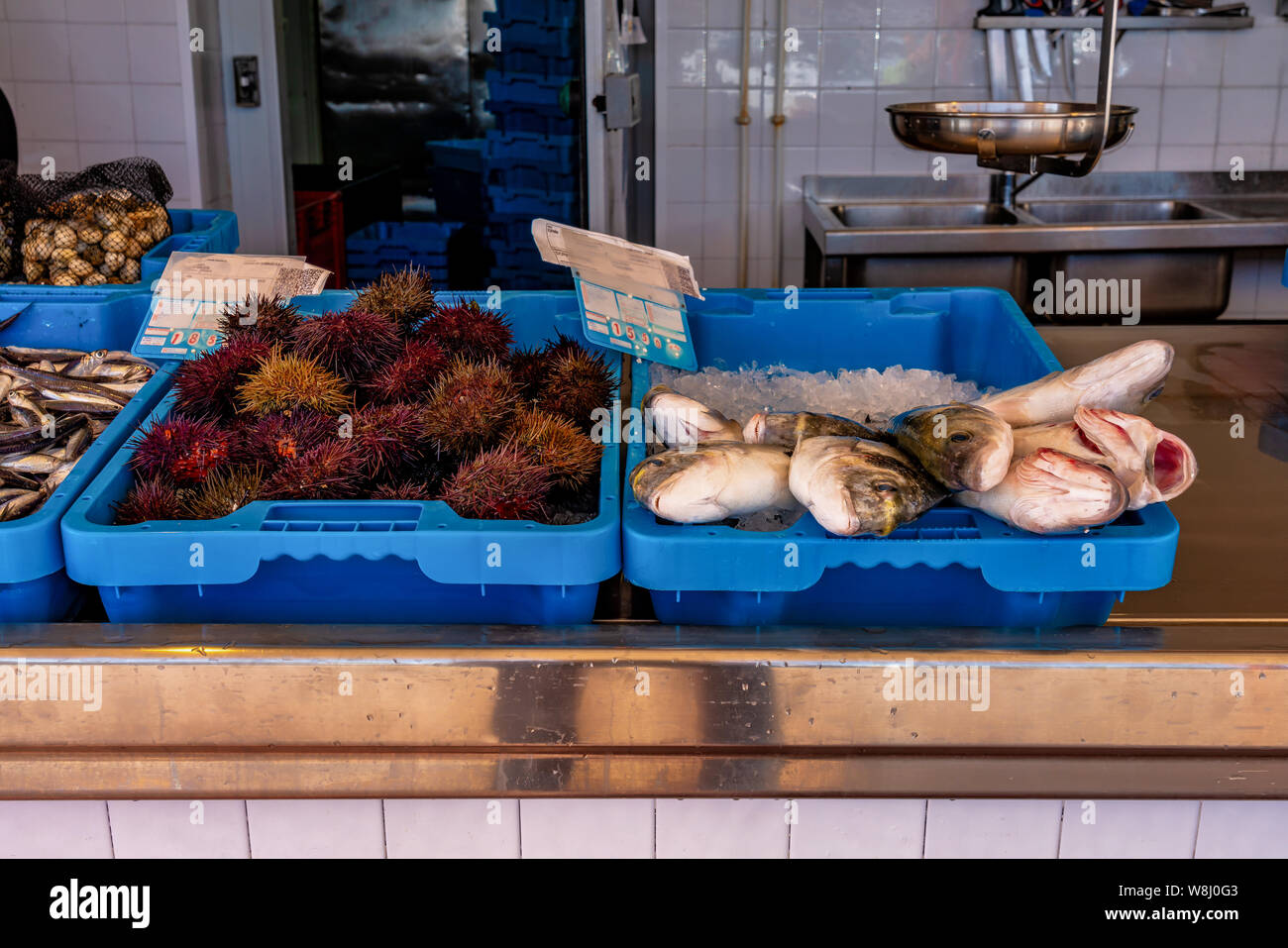 Mediterranean sea fish in Xabia Javea fish market of Spain, Western ...