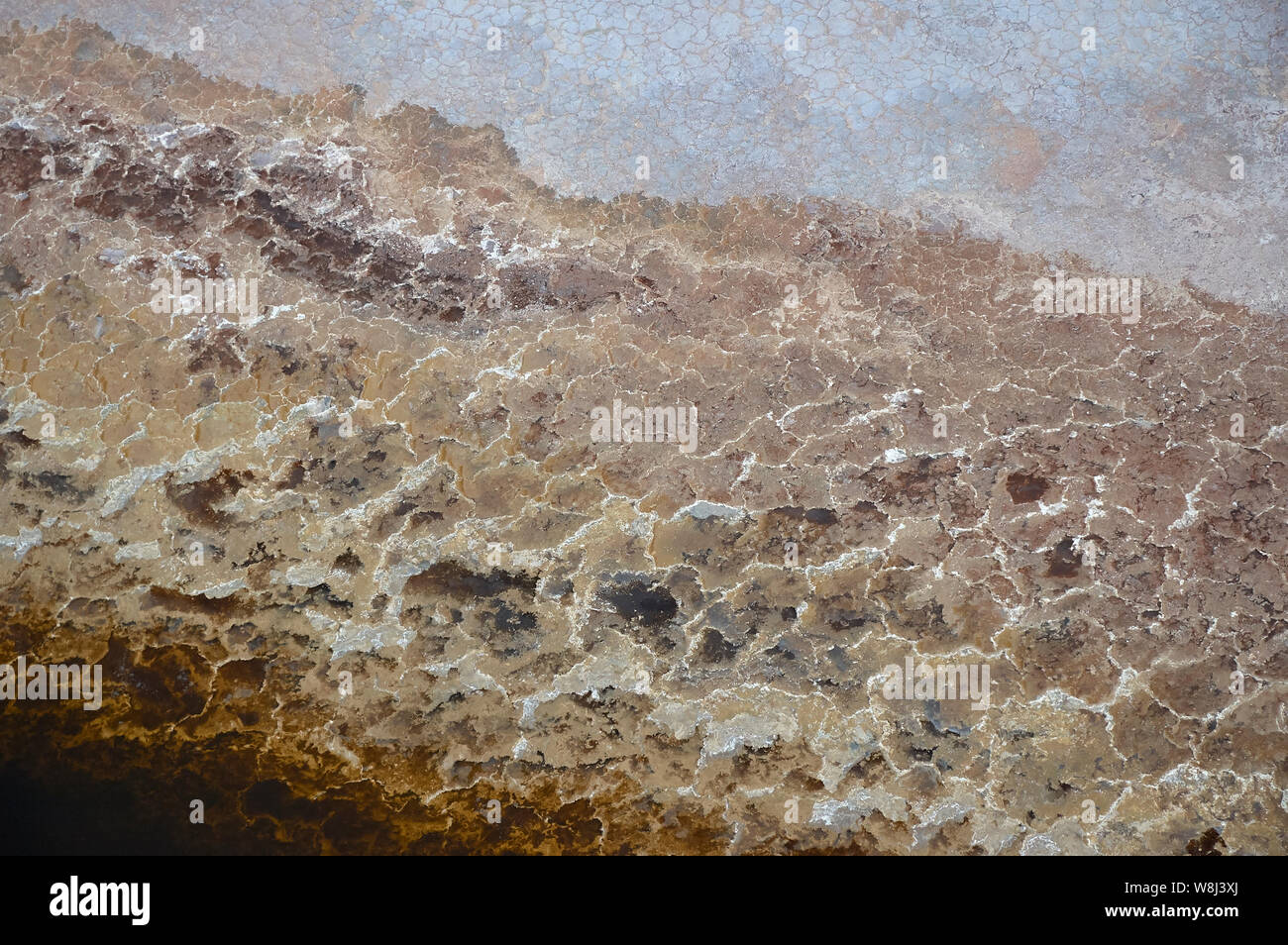 Caustic sediments (mainly soda) on the drying lake floor of Lake Natron ...