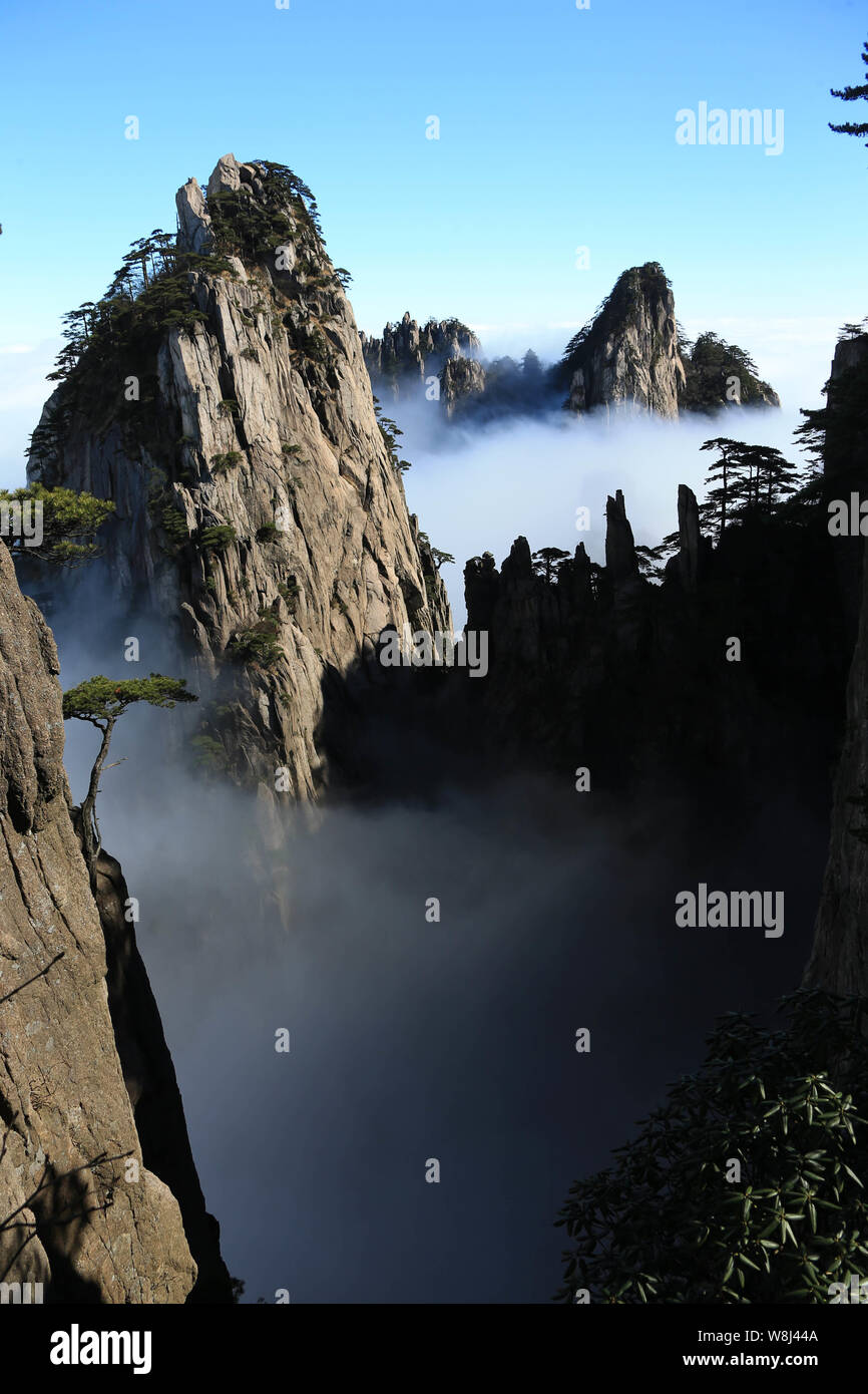 Landscape of Sea of Clouds in Huangshan Mountain Scenic Spot in ...