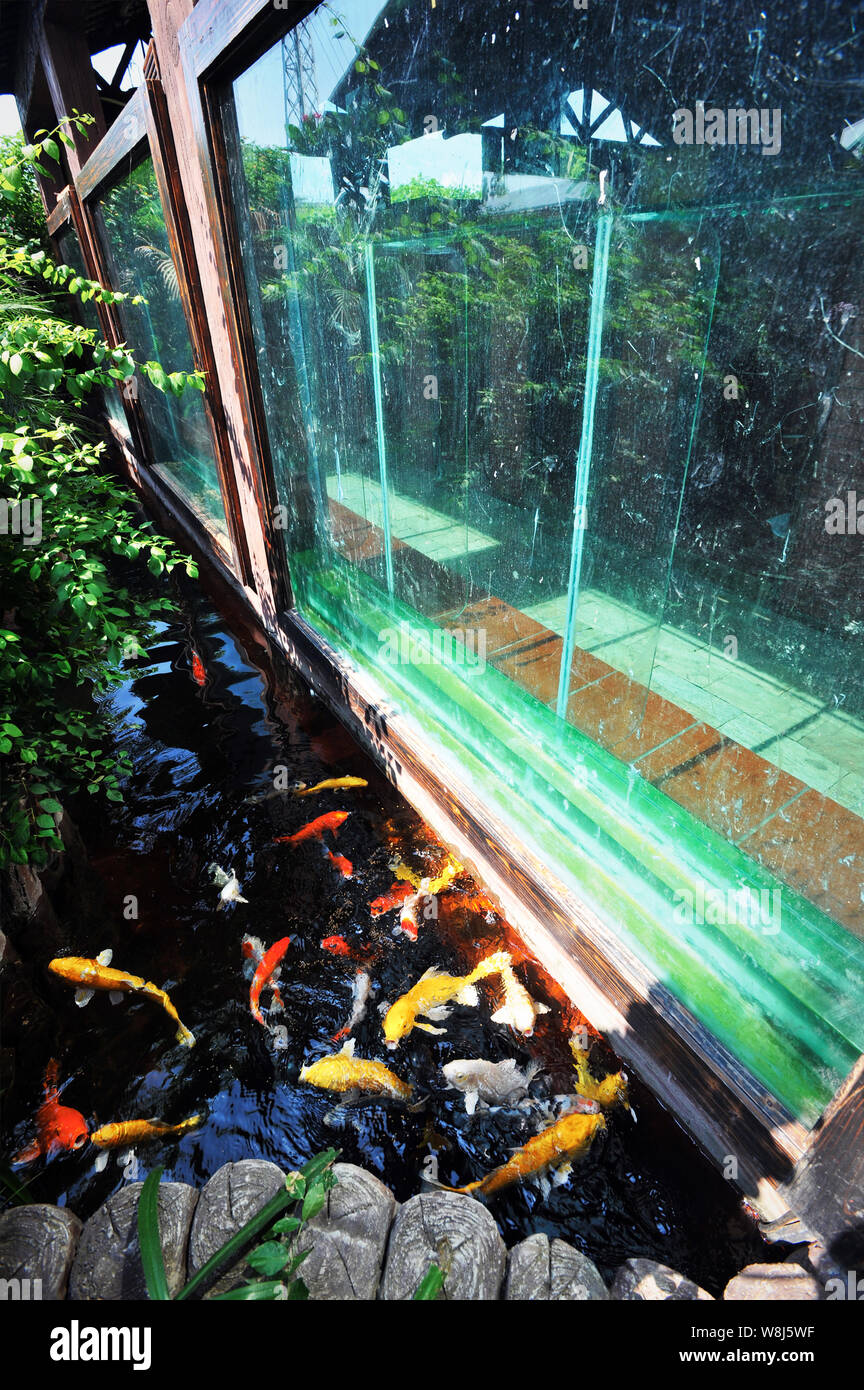 View of a fish pond outside glass urinals in a wooden toilet for ...