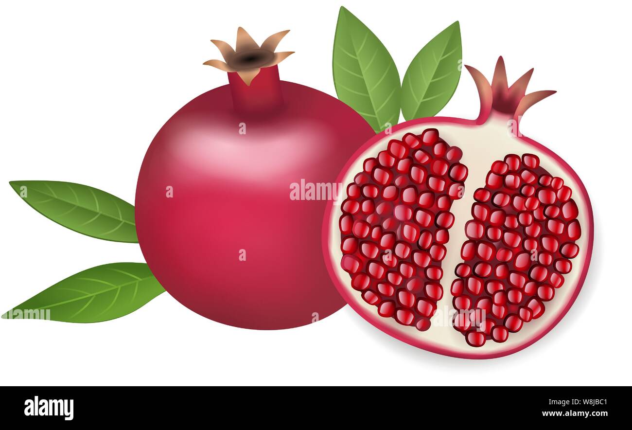 whole and half pomegranate with seeds and leaves illustration Stock ...