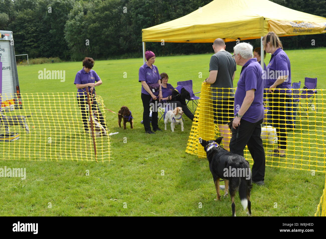 Dog show competition in UK Stock Photo - Alamy