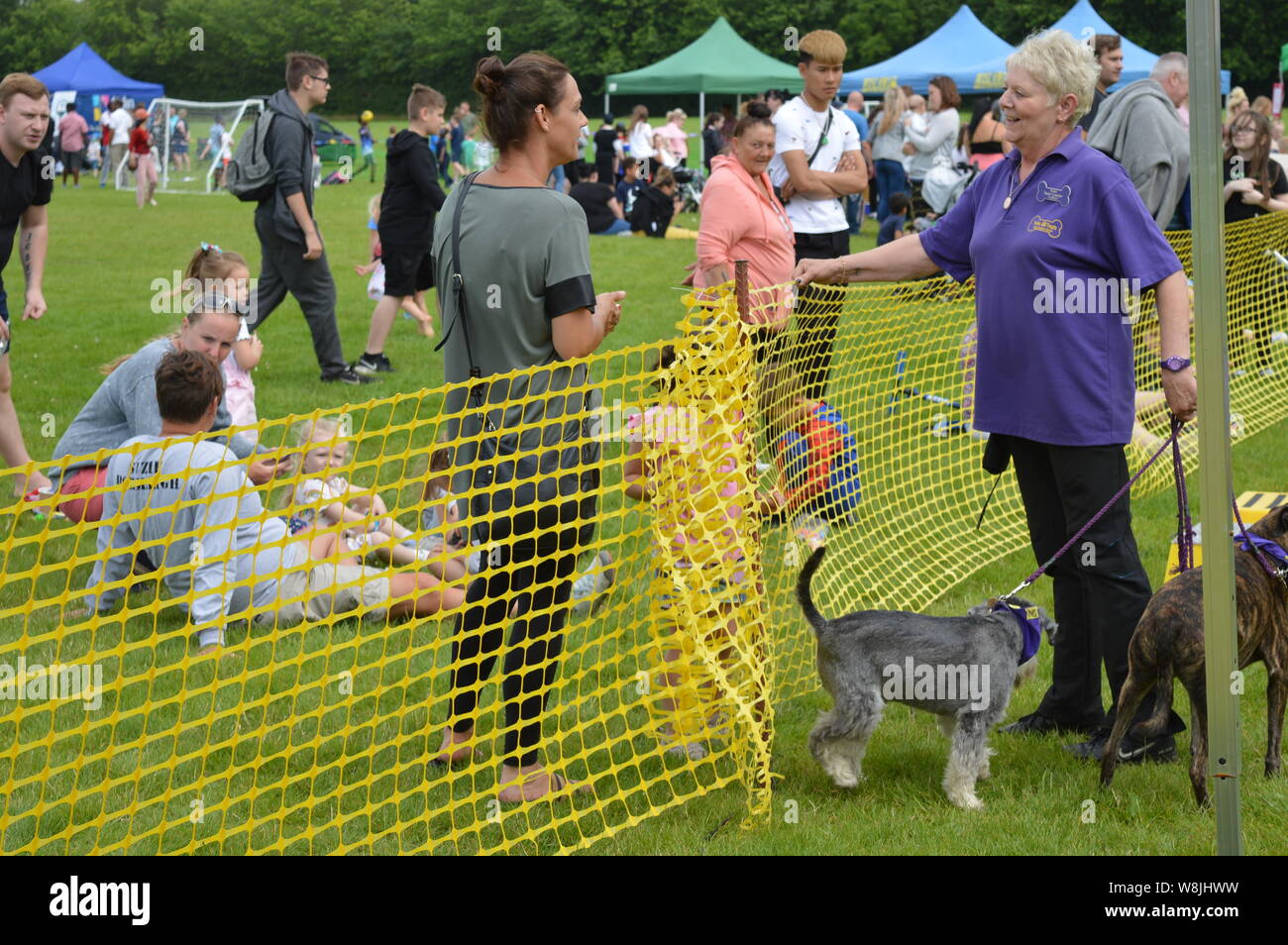 Dog show competition in UK Stock Photo - Alamy