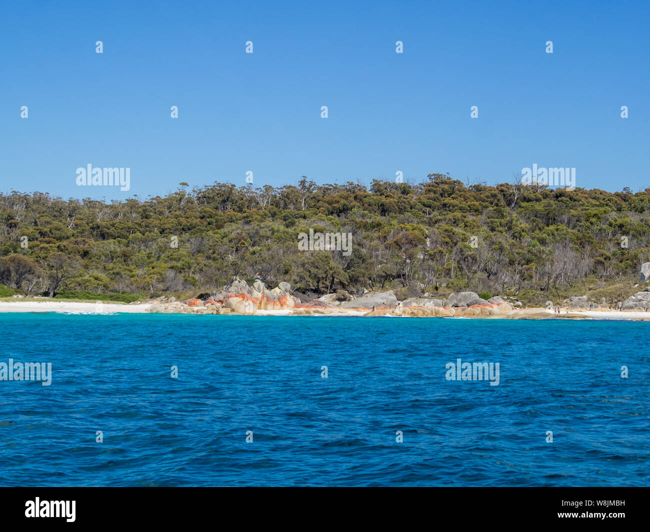 Turquoise waters, red lichen covered rocks and bush of the Bay of Fires ...