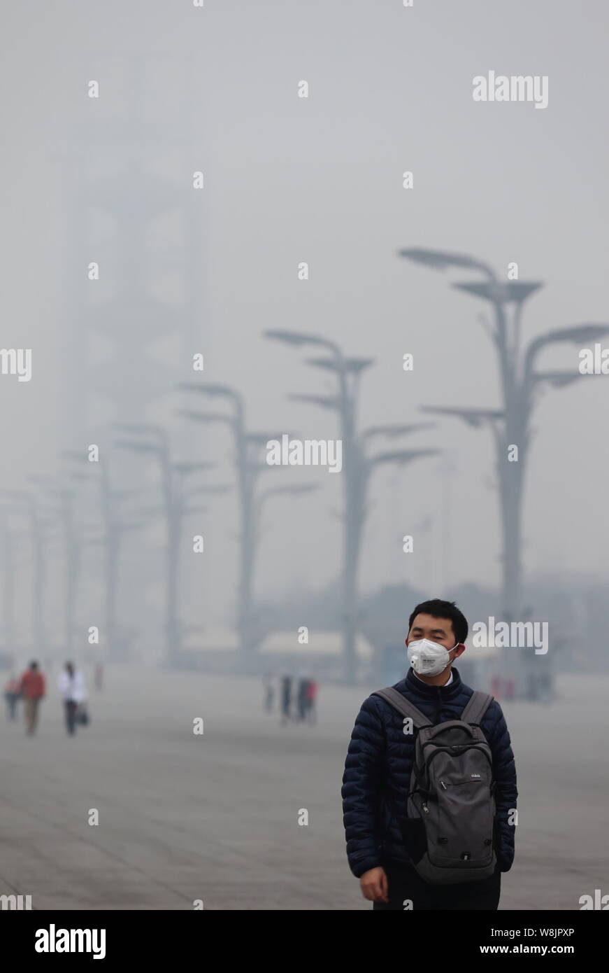 A tourist wearing a face mask visits the Olympic Green in heavy smog in ...