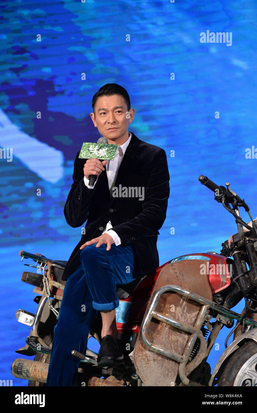 Hong Kong actor and singer Andy Lau poses during a press conference for ...