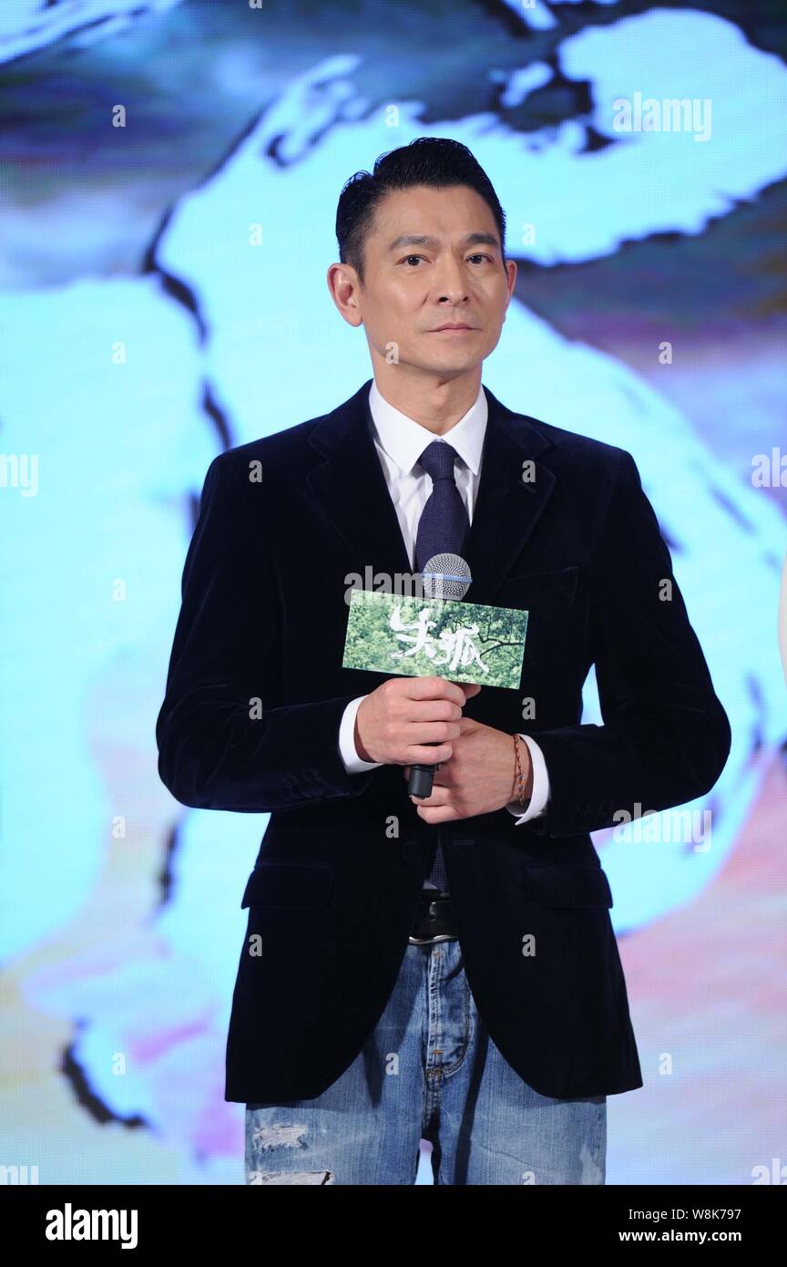 Hong Kong singer and actor Andy Lau poses during a press conference for ...