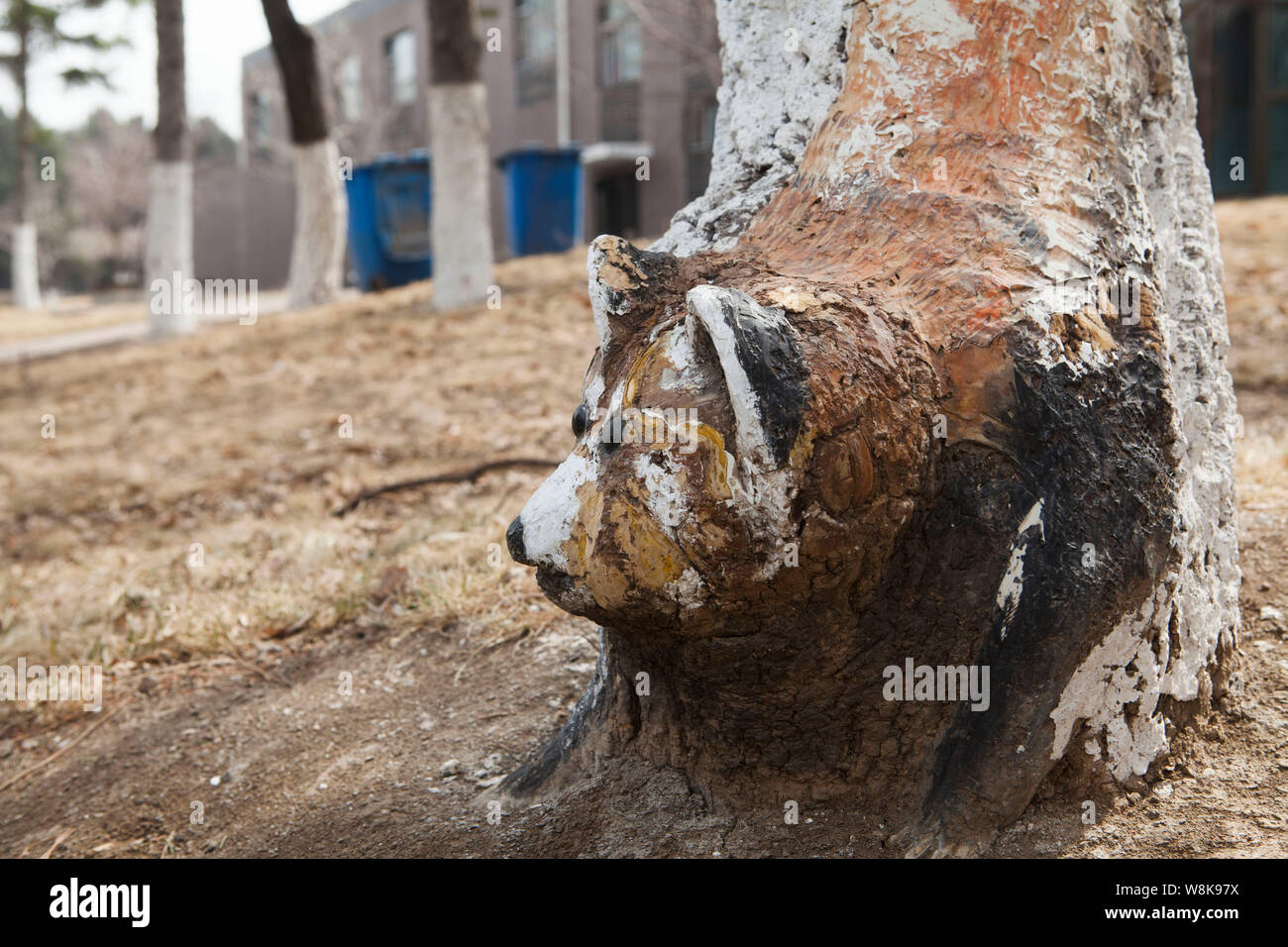 A tree hollow painting of red panda created by Chinese art designer ...