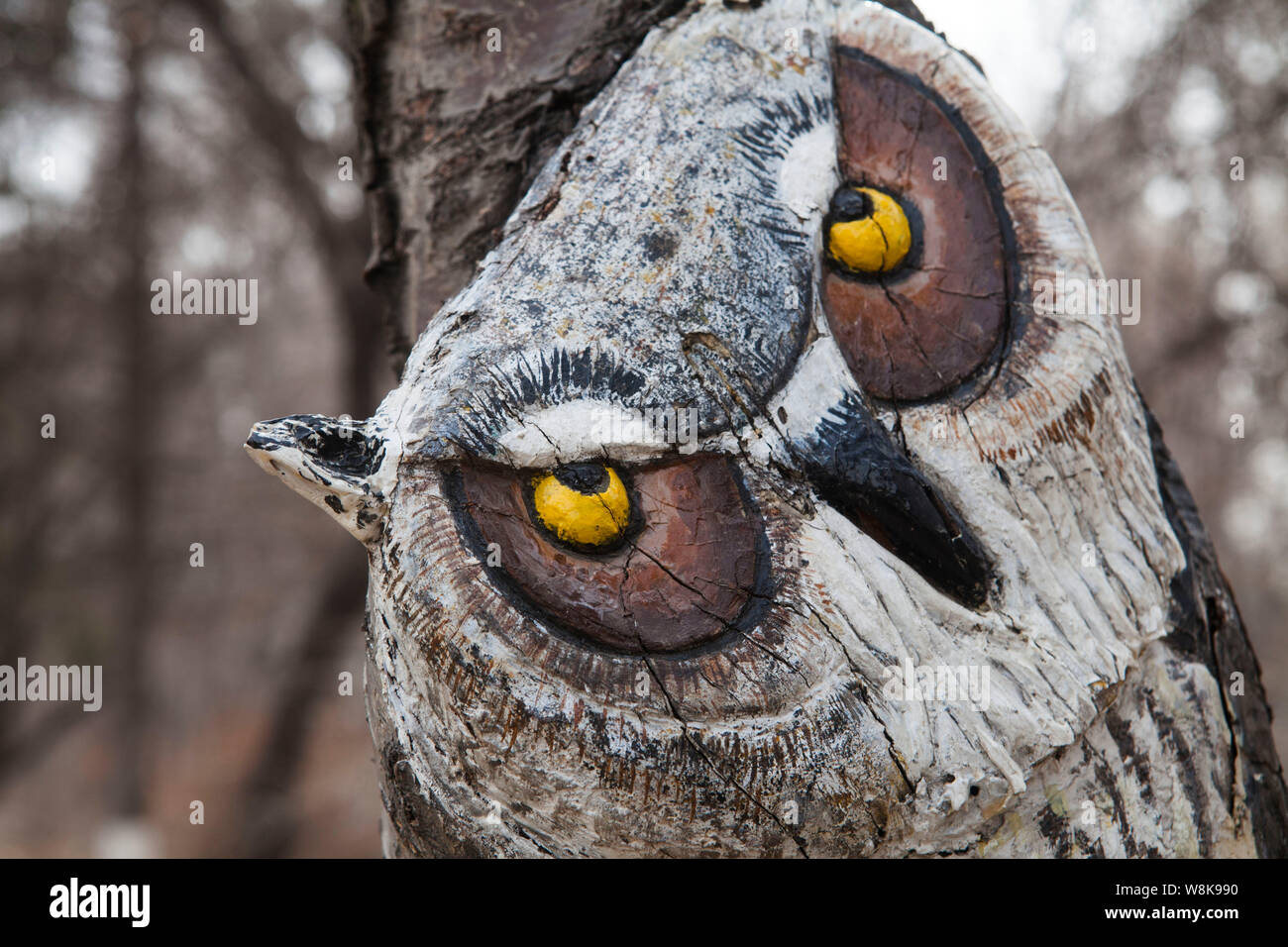 Painting of owl hi-res stock photography and images - Alamy