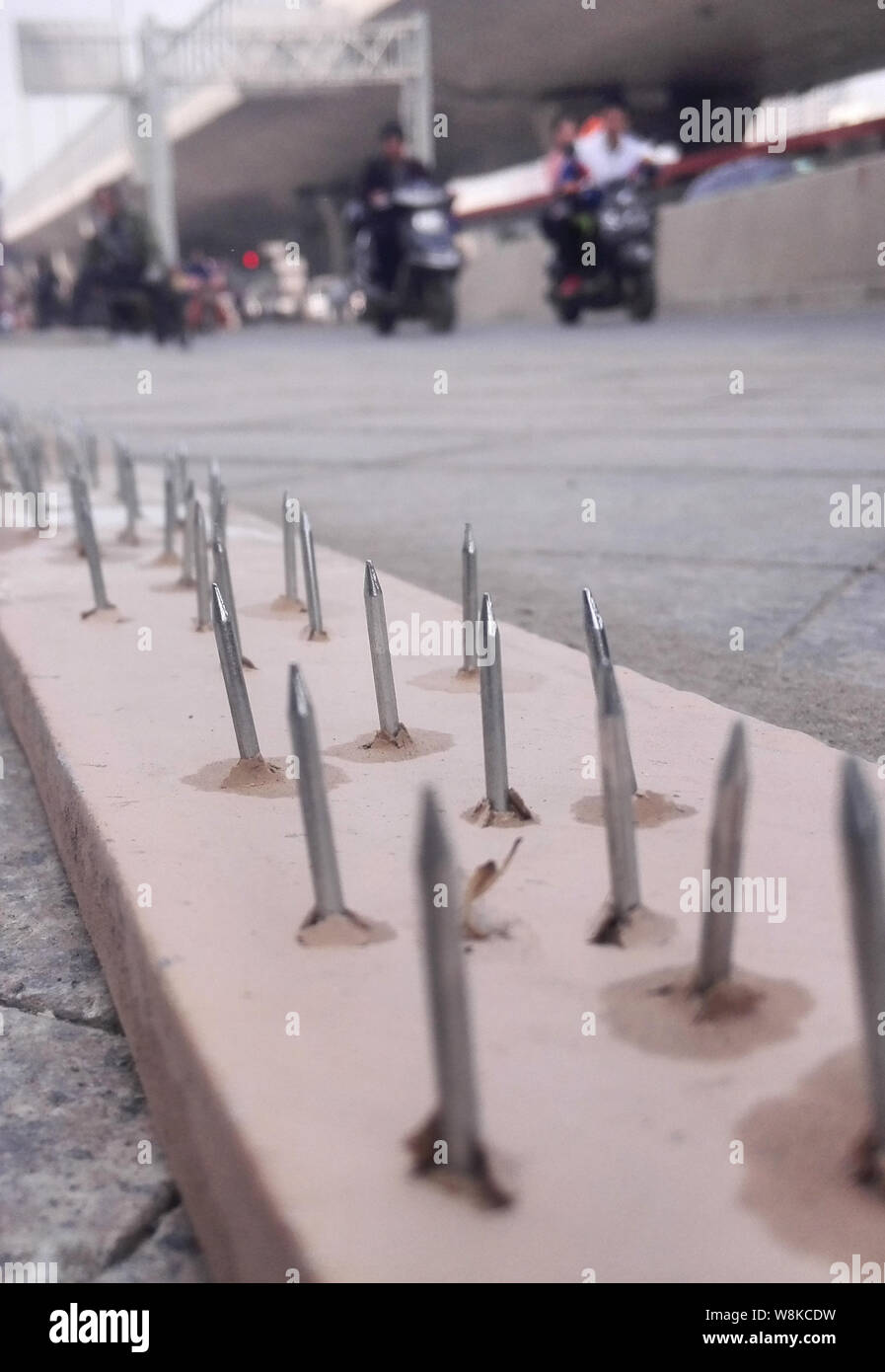A nail plank is placed on the ground to prevent from car parking at the ...