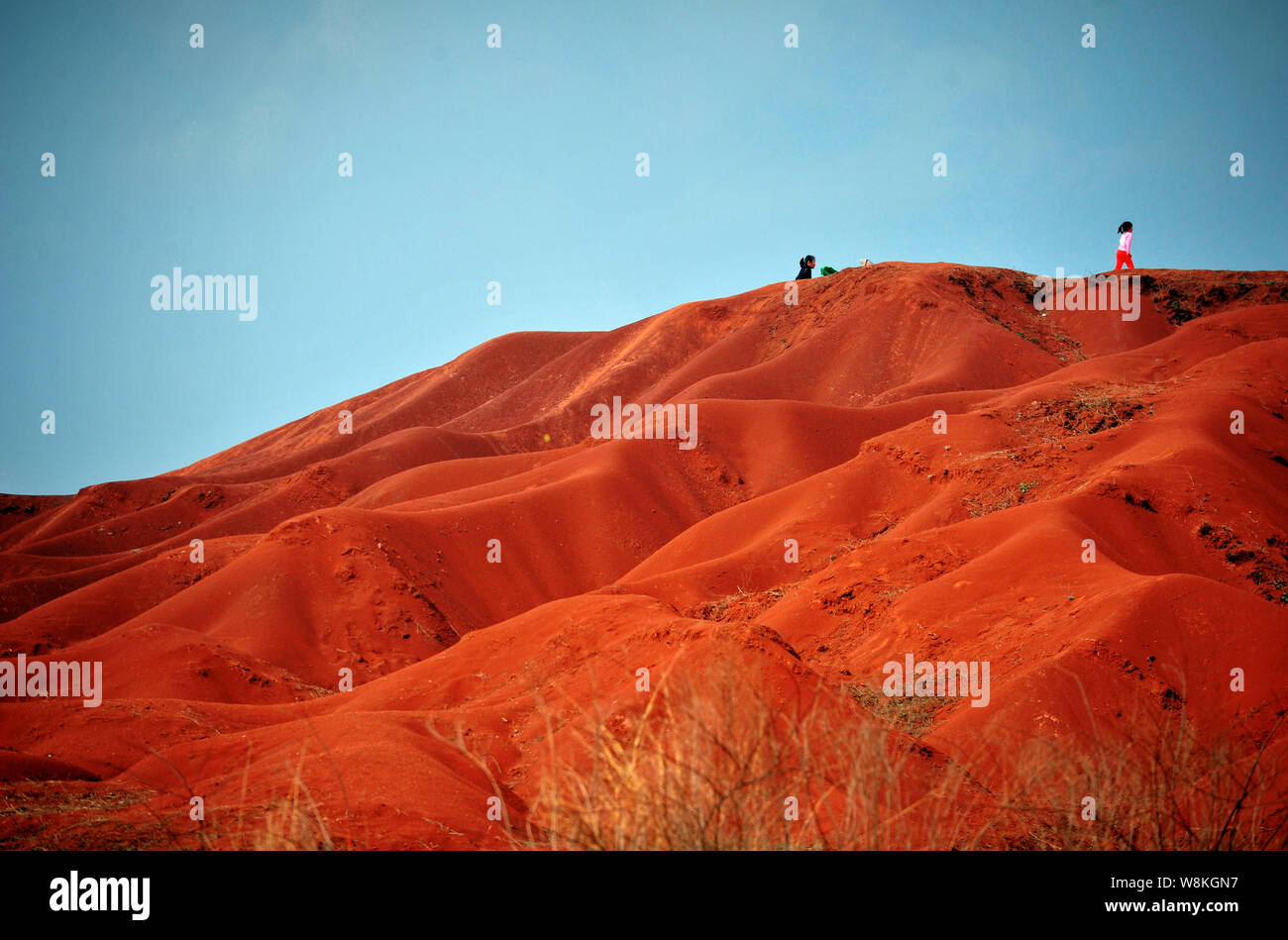Landscape of red earth and brown-yellow silt in the Nanling Mountains ...