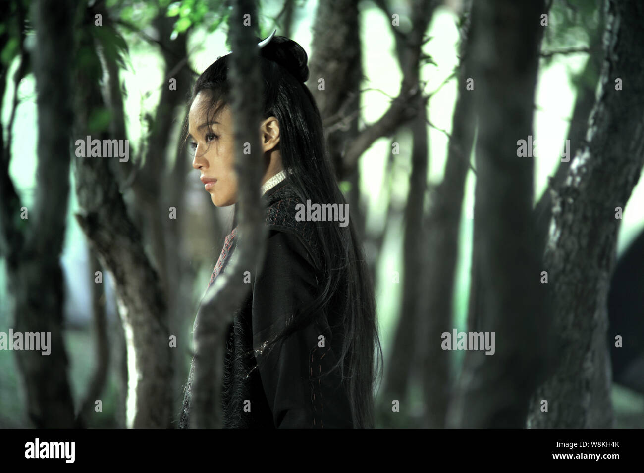Handout still of the movie "The Assassin" featuring Taiwanese actress ...