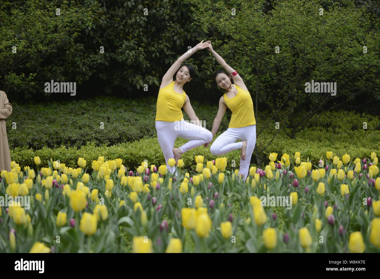Perform yoga hi-res stock photography and images - Alamy