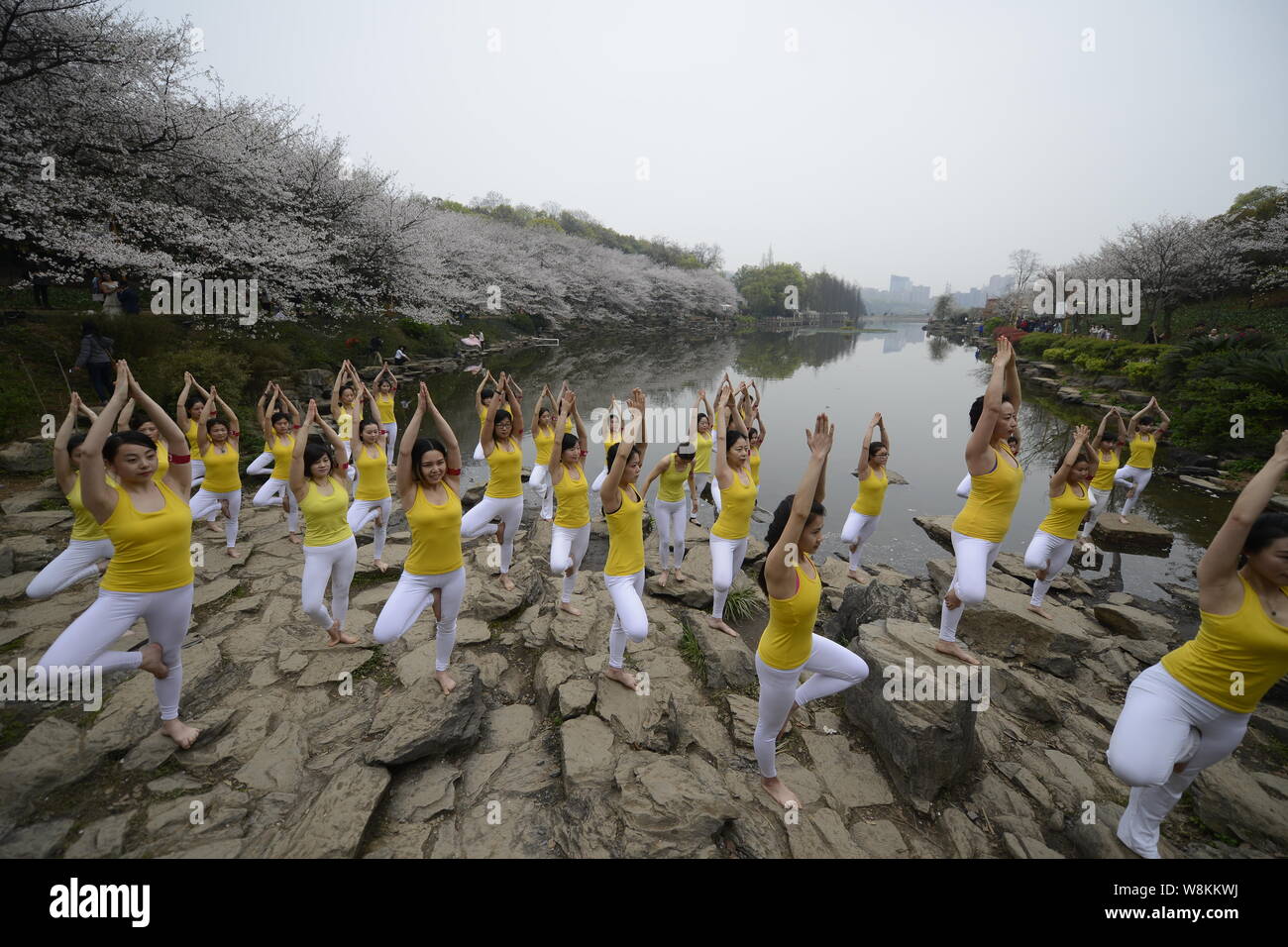 Chinese women perform yoga at a botanical garden in Changsha city ...
