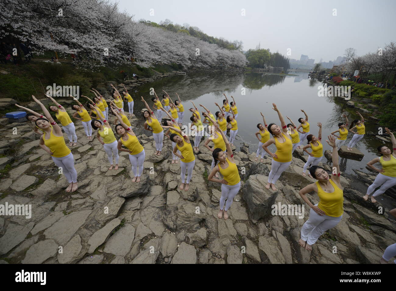Chinese women perform yoga at a botanical garden in Changsha city ...