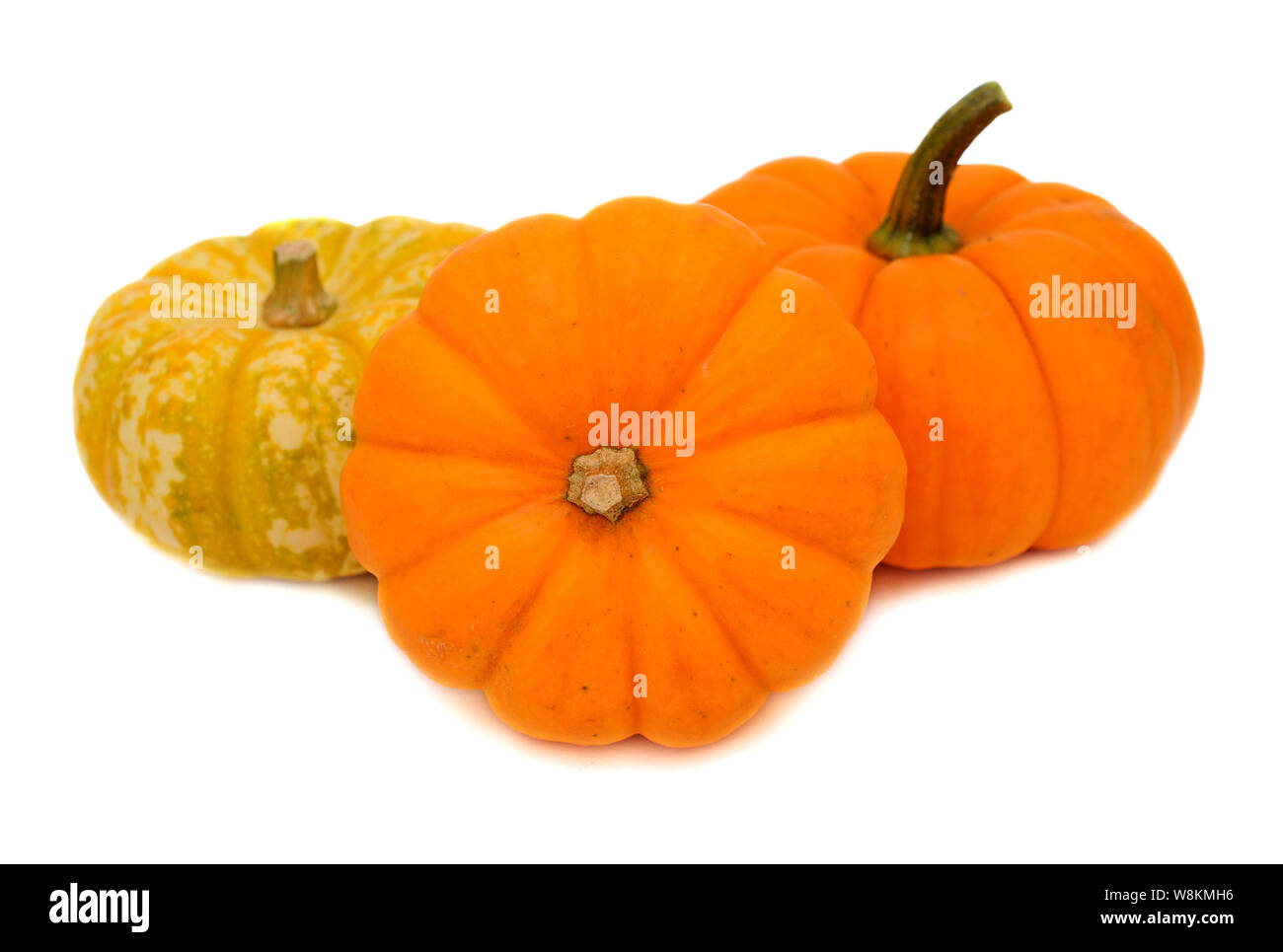 Mini pumpkins Cut Out Stock Images & Pictures - Alamy