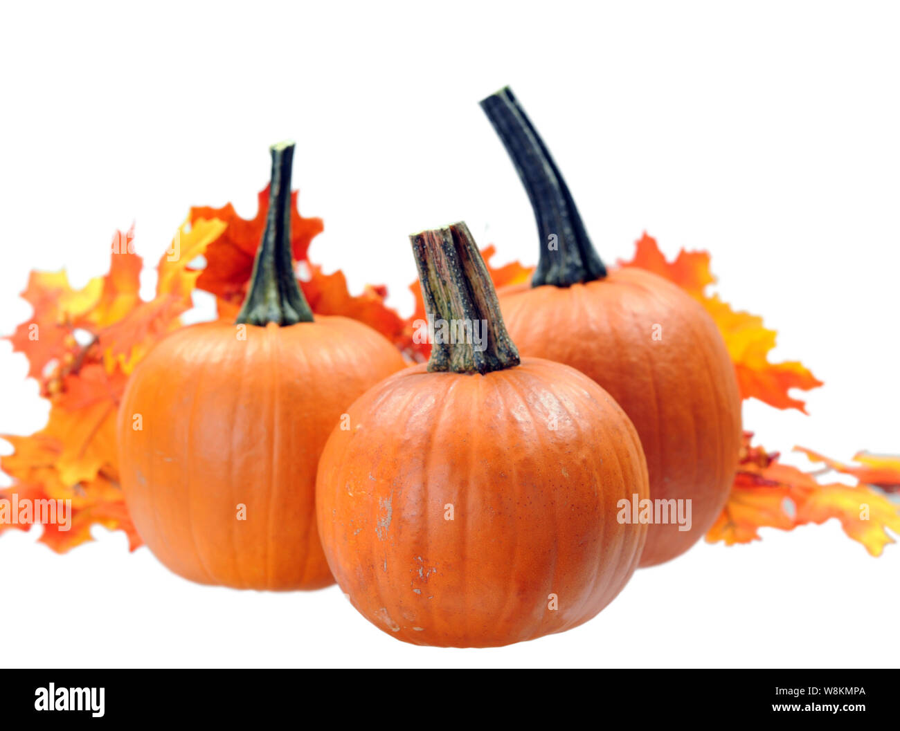 Three pumpkin isolated on white background Stock Photo - Alamy