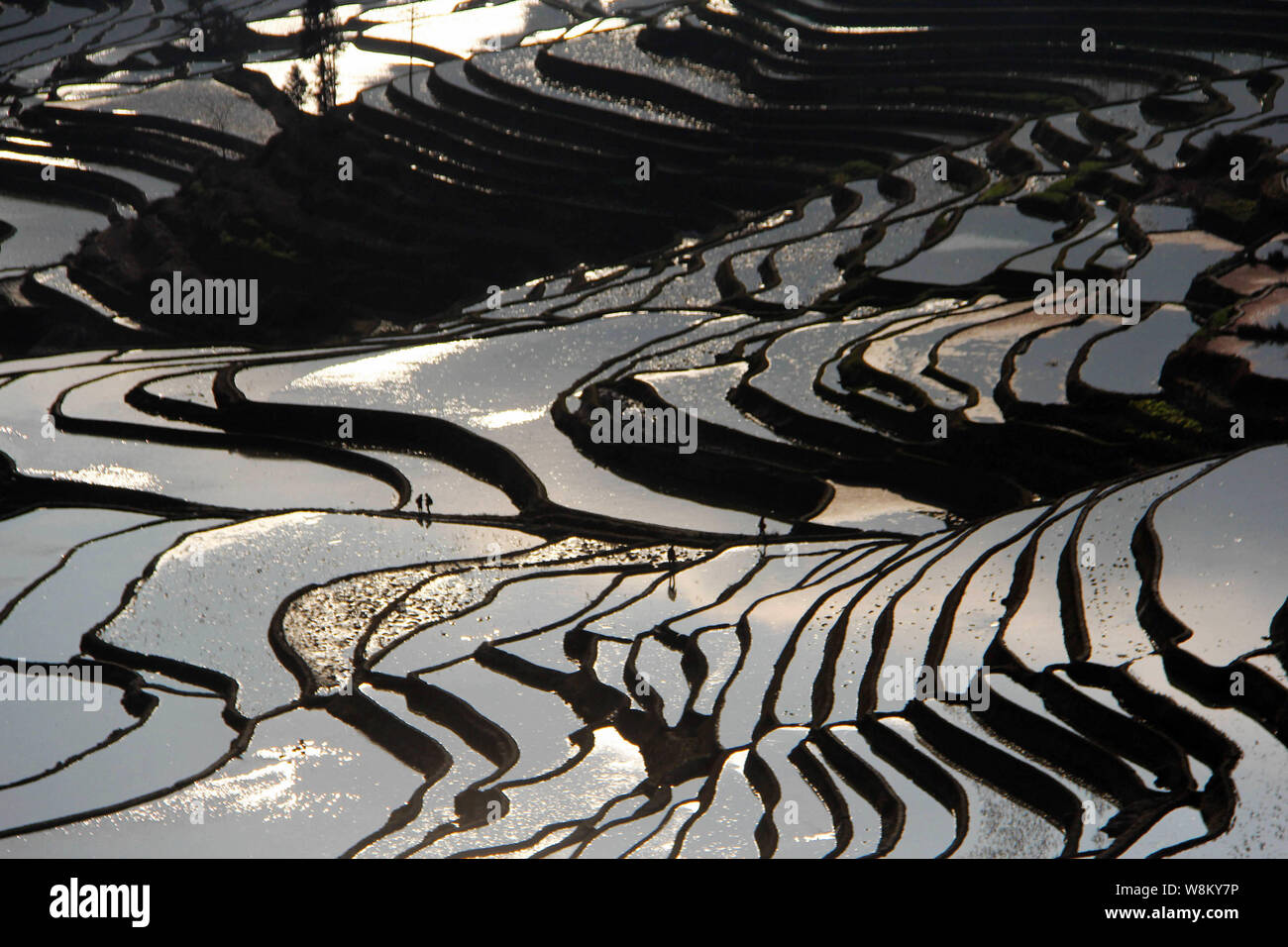 Landscape of terraced rice fields of the Honghe Hani Rice Terraces, one ...