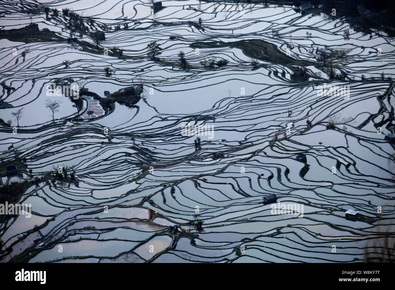Landscape of terraced rice fields of the Honghe Hani Rice Terraces, one ...