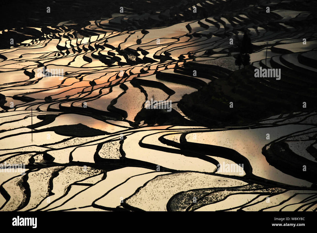 Landscape of terraced rice fields of the Honghe Hani Rice Terraces, one ...