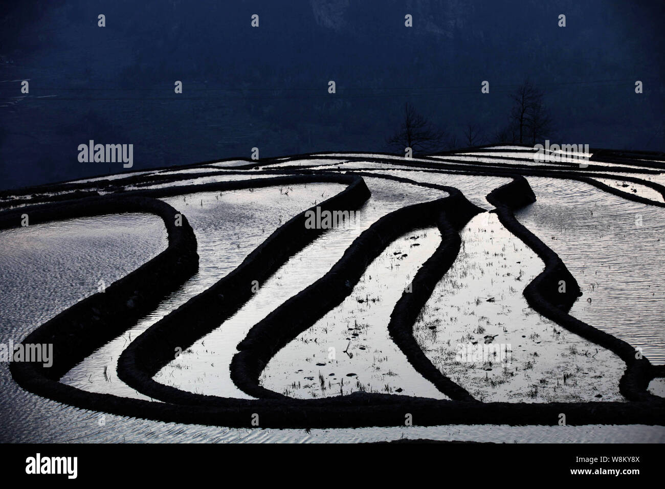 Landscape of terraced rice fields of the Honghe Hani Rice Terraces, one ...