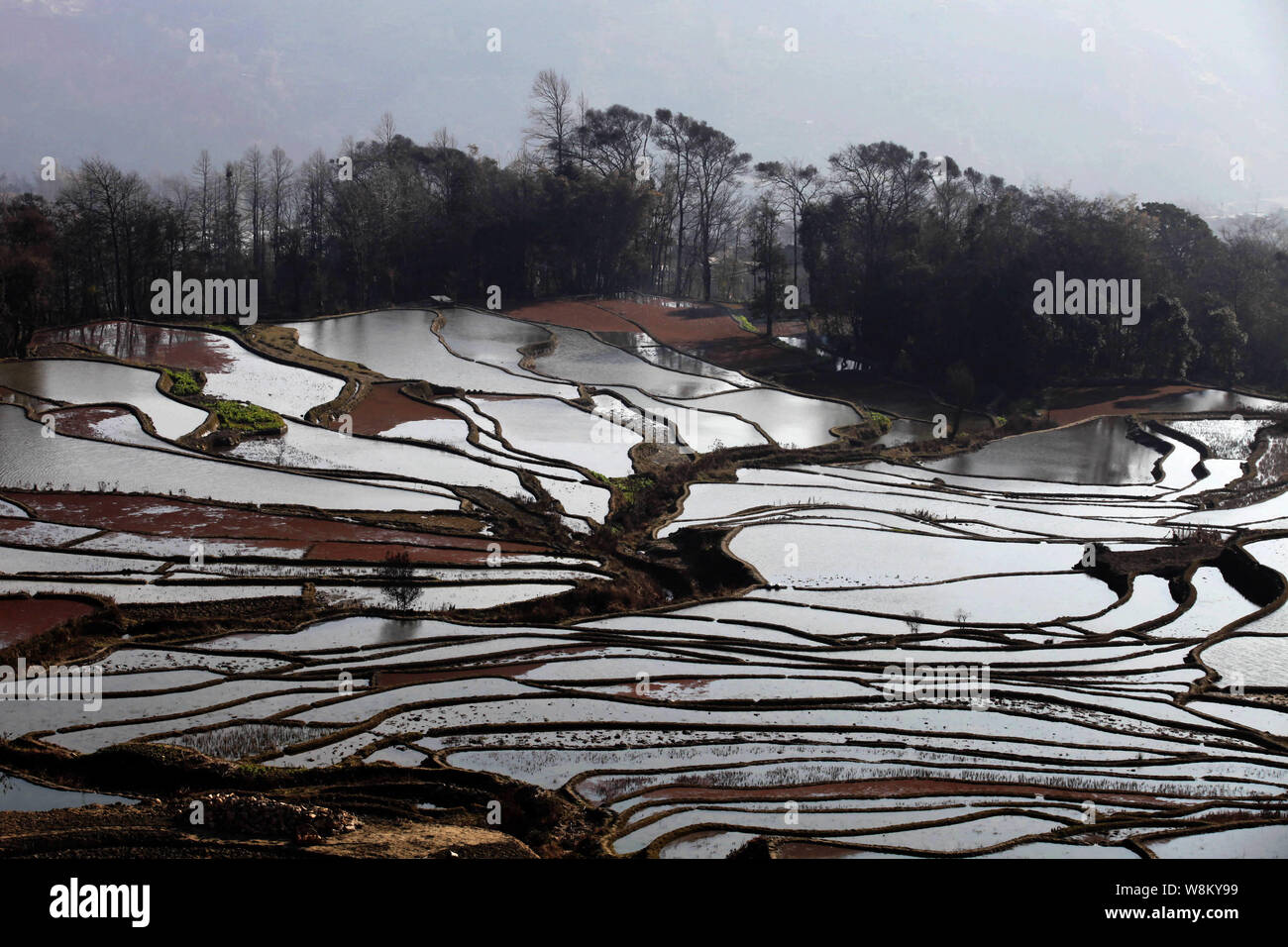 Landscape of terraced rice fields of the Honghe Hani Rice Terraces, one ...